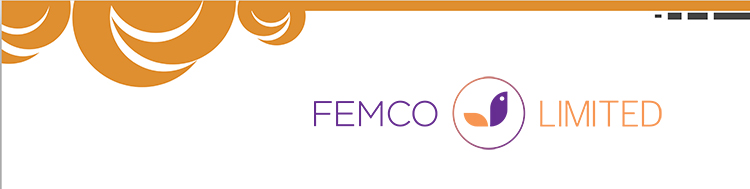 Femco Logo Papasari | Femco Draintechnology