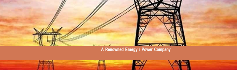 A Renowned Energy / Power Company